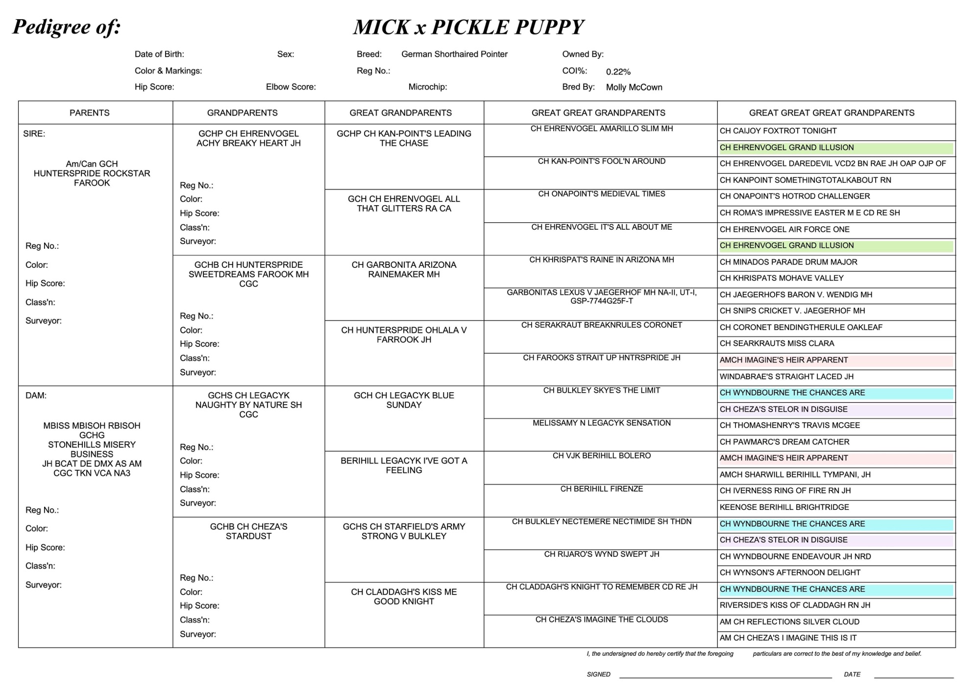 Mick x Pickle 2024 – Falcon Hill German Shorthaired Pointers