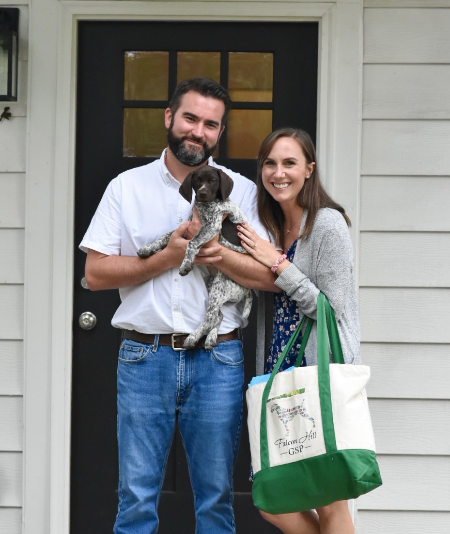 Mick x Pickle 2024 – Falcon Hill German Shorthaired Pointers